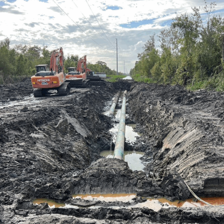 Home - Nexus Integrity